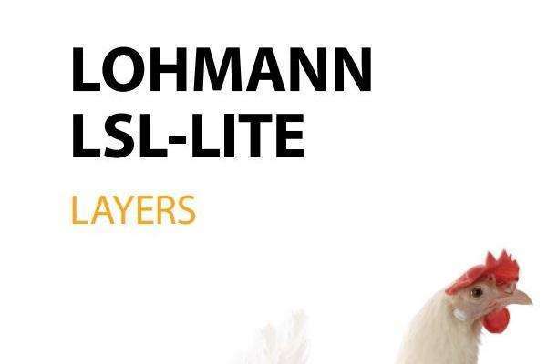 کاتالوگ تغذیه‌ ای و پرورشی جوجه‌ های گوشتی | مدیران فارم